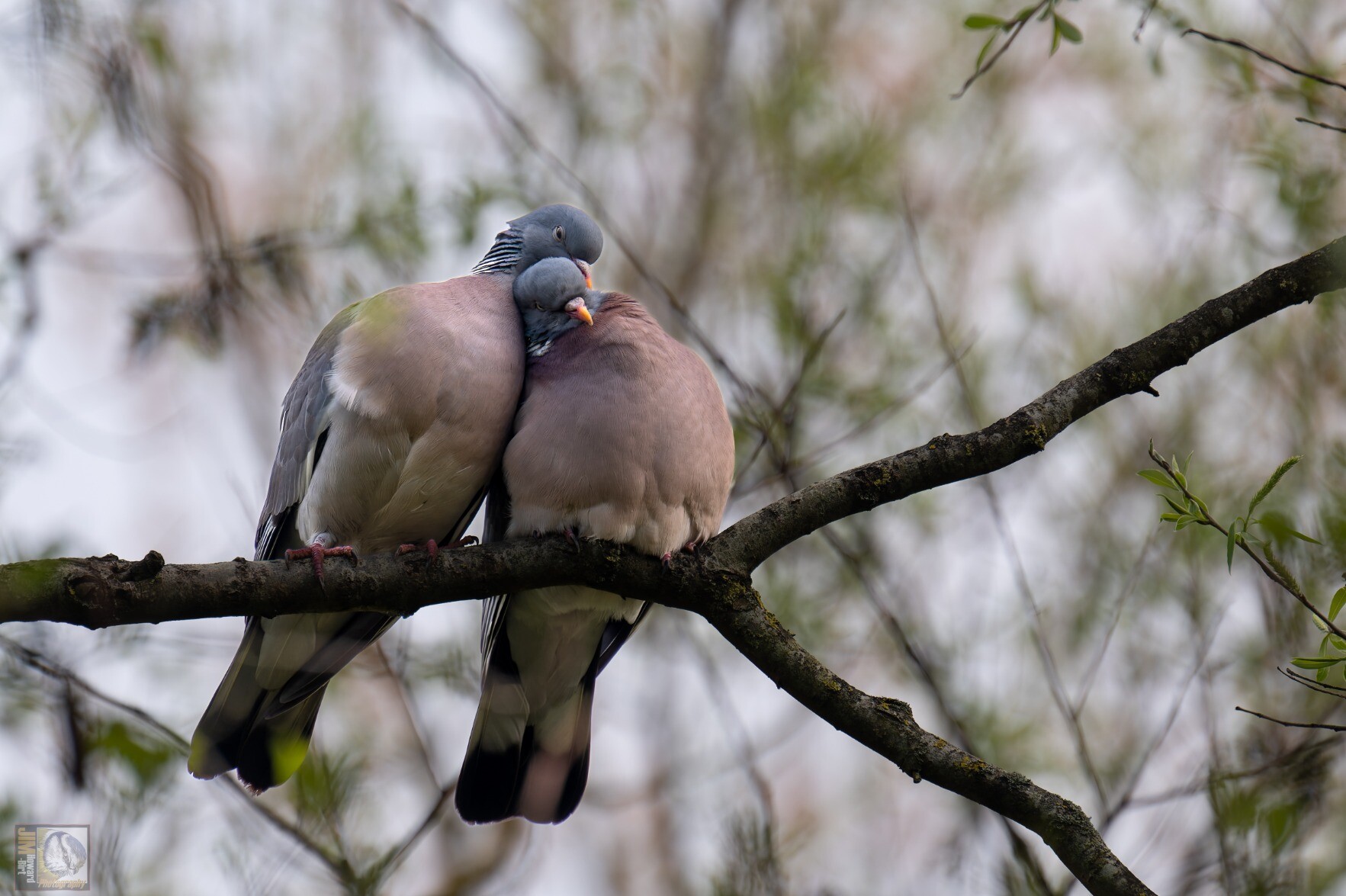 Andrew Prall (@dr_prall@mas.to) - mas.to